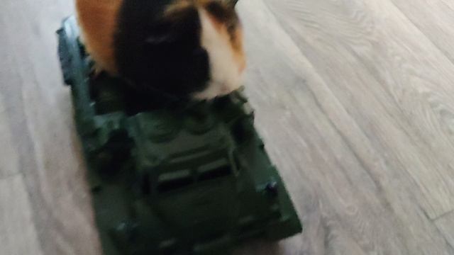 1 сезон 7 серия Финальная битва #2