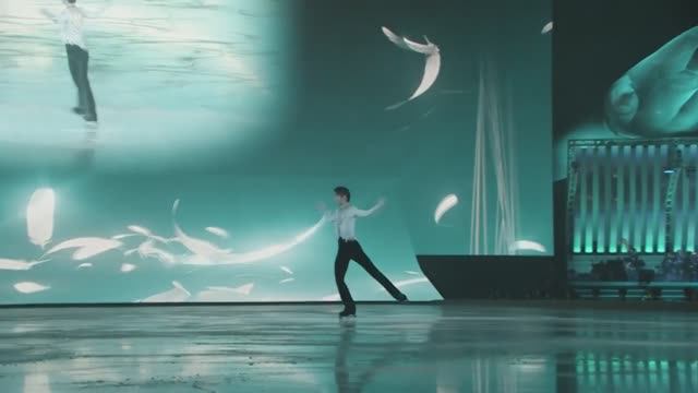 10.1 GIFT программа 10 Notte Stellata+Fin