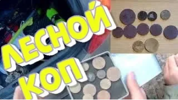 Летний выход.Поиск монет с металлоискателем в лесу