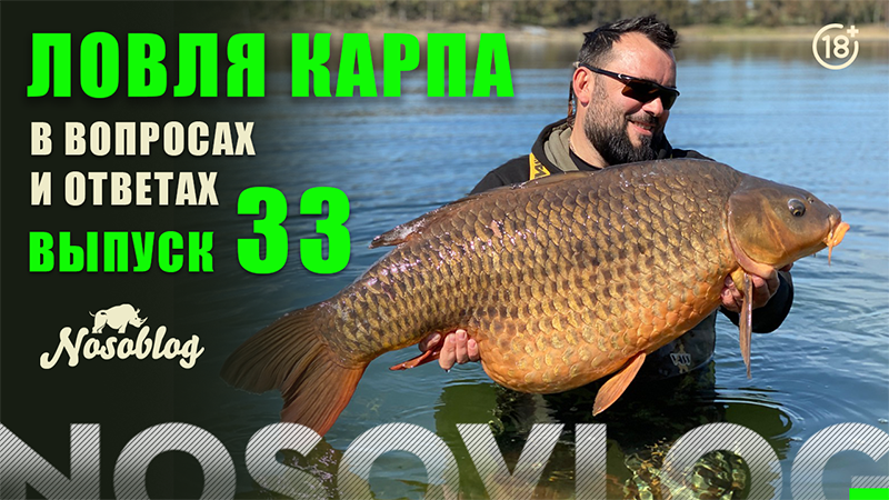 Карпфишинг в вопросах и ответах, выпуск 33, А. Колесников