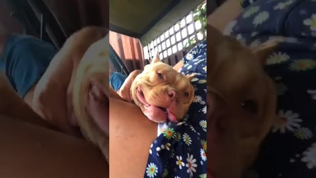 Когда булочке жарко ?