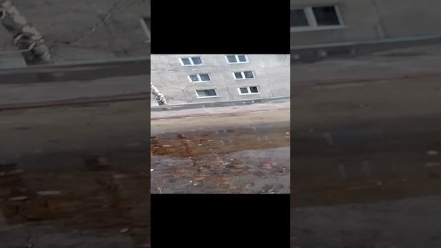 ВАМ ПОВЕСТКА-1сезон 1-серия