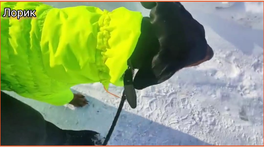 У Лорика новый комбинезон