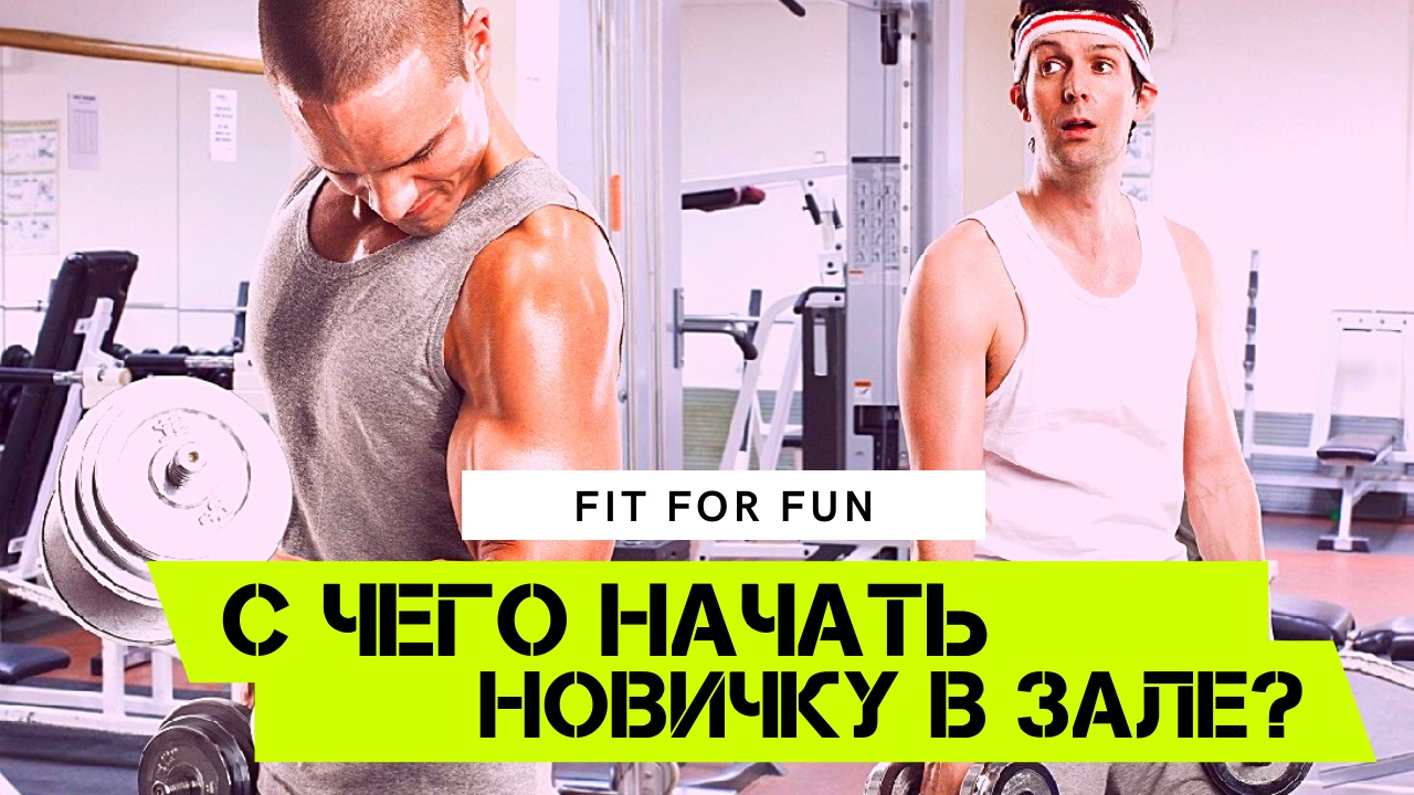 С чего начать новичку в тренажерном зале. Мини пособие для начинающих атлетов.