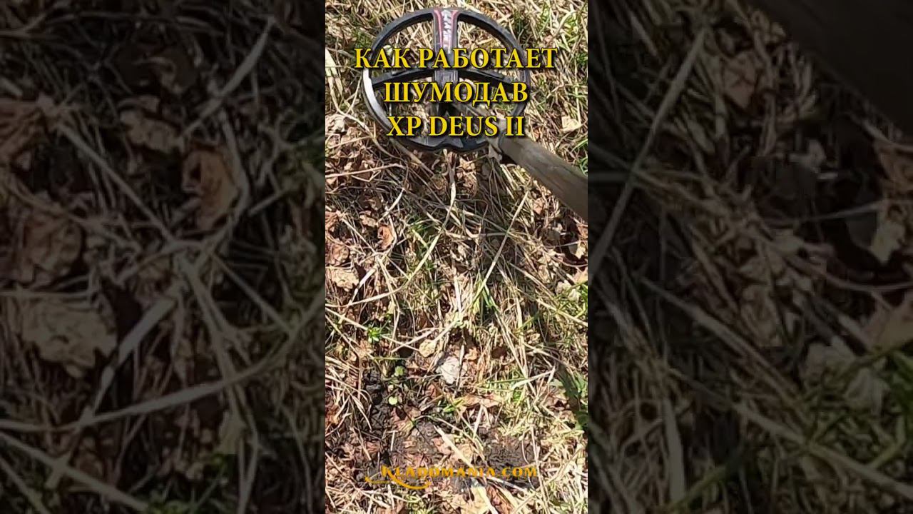 КАК работает ШУМОДАВ XP DEUS II. Кладомания. #shorts