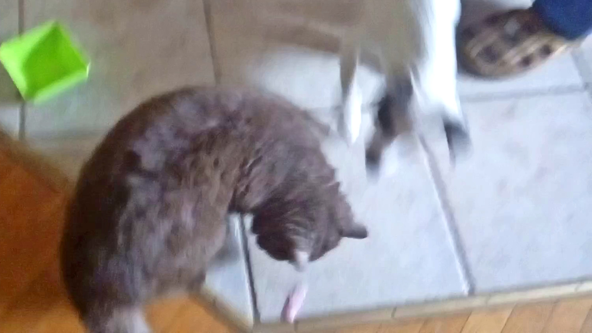 Кто успел, тот и съел