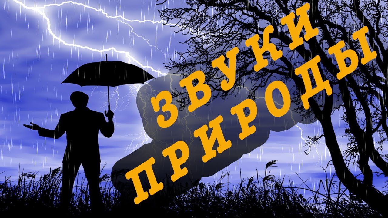 Расслабляющие звуки природы. Усыпляющие звуки летнего дождя.