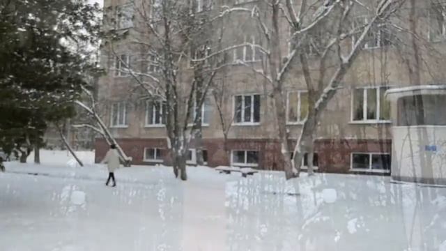 Беседа об Академгородке