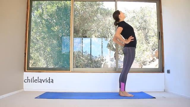 Йога для спины СКРУТКИ РАСТЯЖКИ УКРЕПЛЕНИЕ.mp4