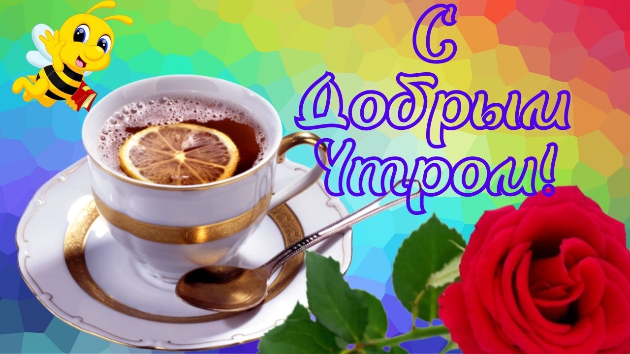 ДОБРОЕ УТРЕЧКО!  ШИКАРНОЕ ПОЖЕЛАНИЕ ДОБРОГО УТРА С НЕВЕРОЯТНО КРАСИВОЙ МУЗЫКОЙ СЕРГЕЯ ЧЕКАЛИНА
