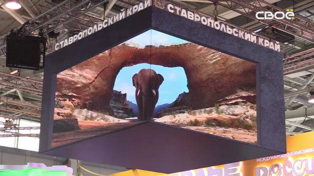 На телеканале «СвоёТВ» завершилась апрельская прямая линия губернатора Владимира Владимирова