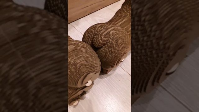 Кошки против корги 2 серия