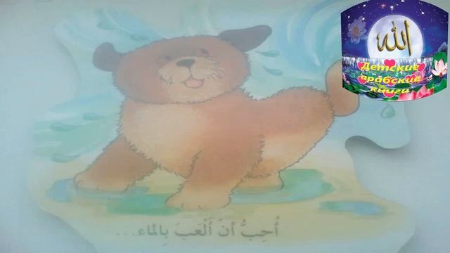 перевод книги с арабского про собаку.mp4