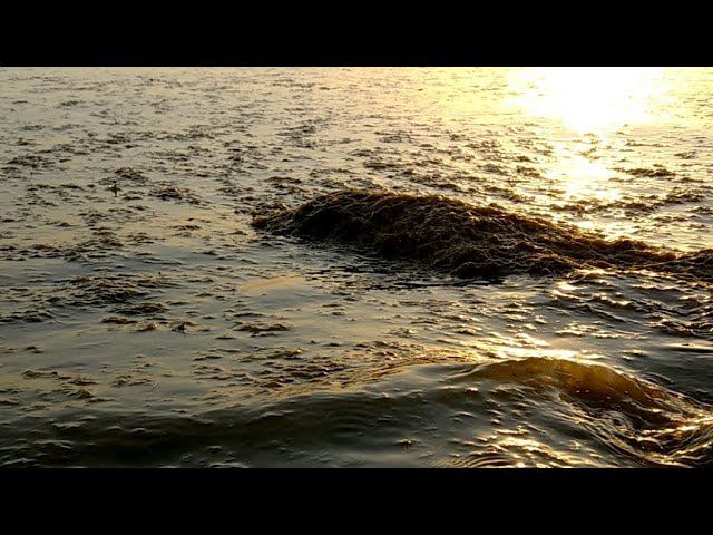 Закат. Море от Юности за технополис. #Анапа