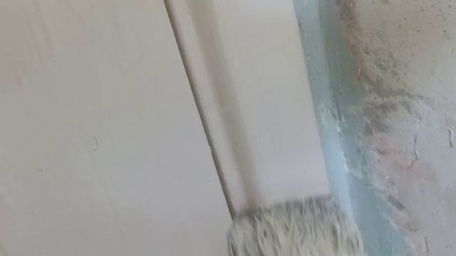 Как я покрасила двери на кухне ?