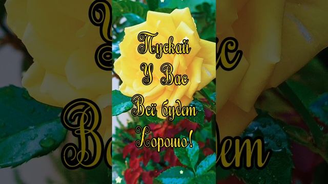 С ДОБРЫМ ВЕСЕННИМ УТРЕЧКОМ!