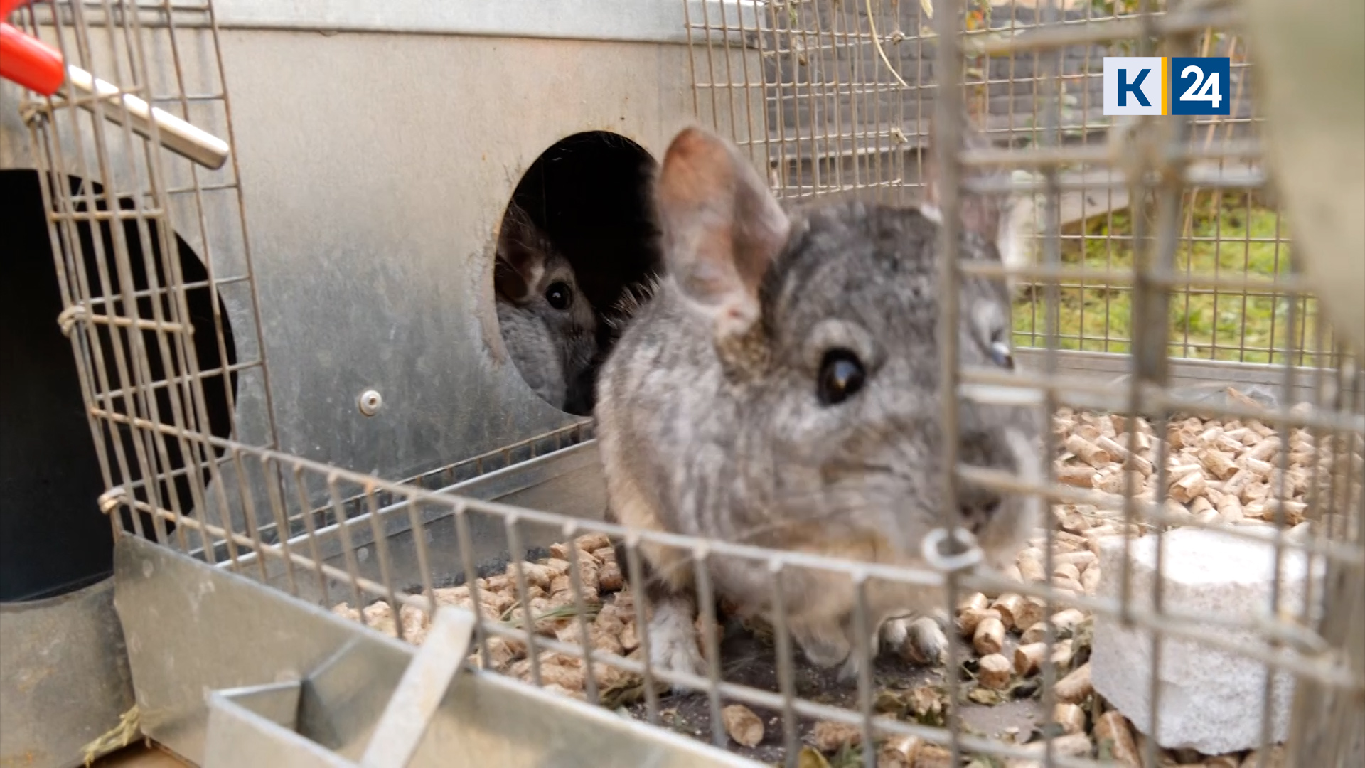 Эффект счастья №17 25.06.2023