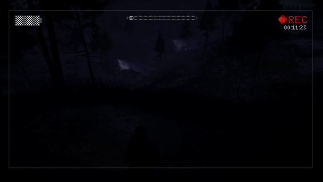 Slender: The Arrival | Немного Слендера в нашу жизнь
