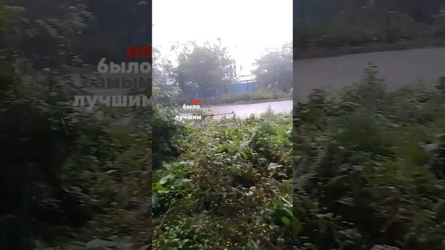 лето уже закончилось...