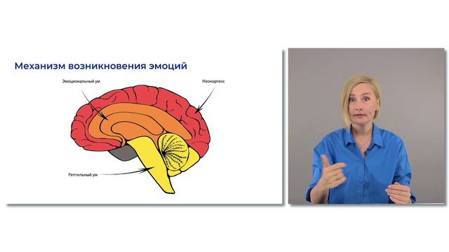 Видеолекция 3. Понятие и механизм формирования эмоций
