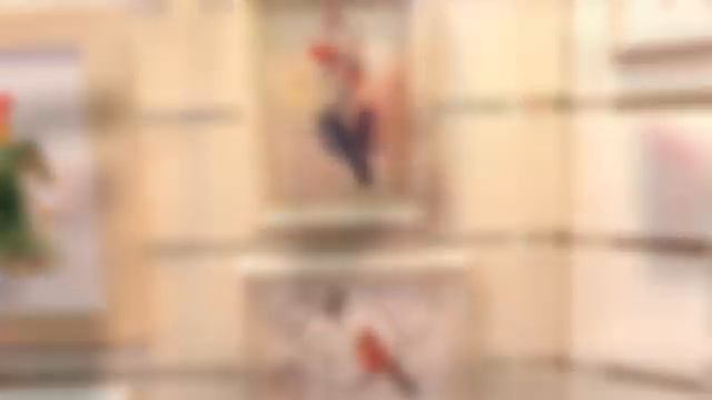 Формула рукоделия 2016 Фирма RTO