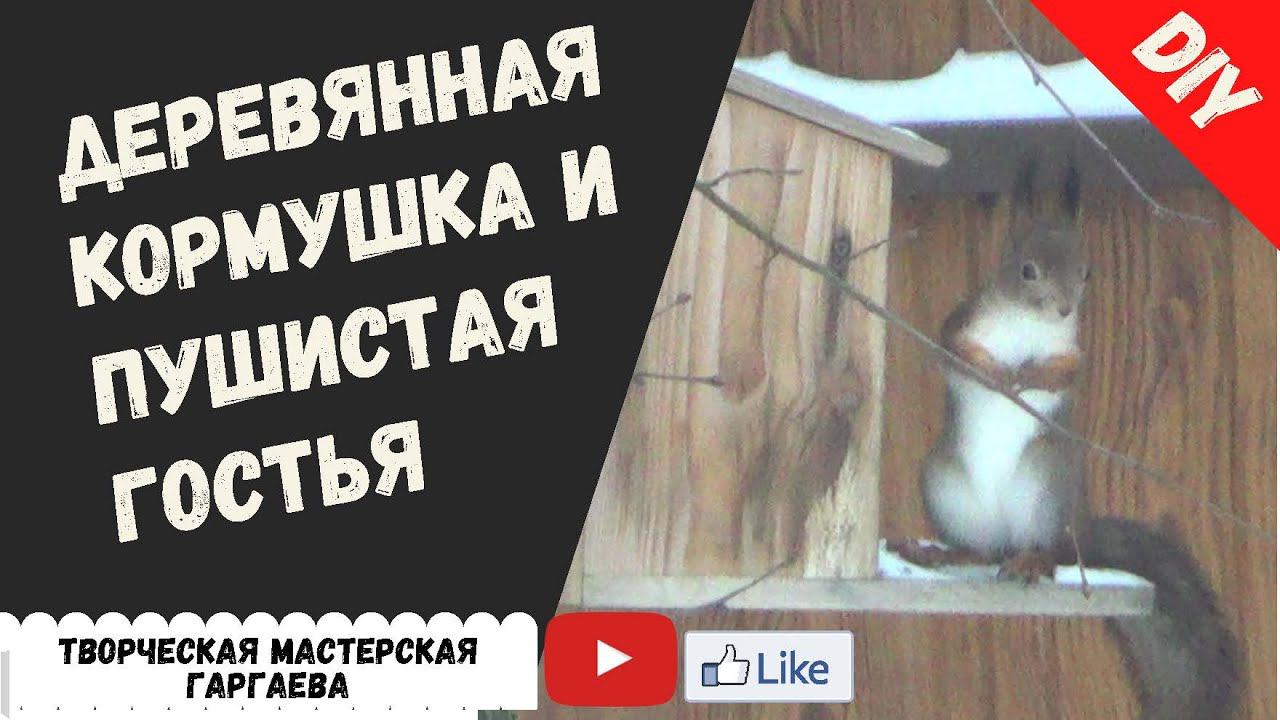 Пушистые гостьи  и  кормушка для белок