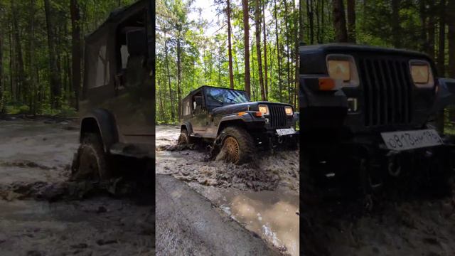 Jeep валит по бездорожью 👌