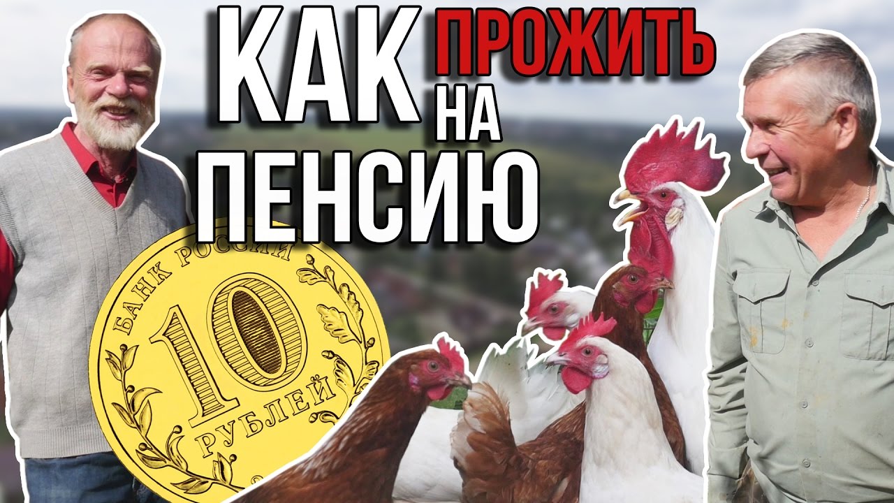 Как прожить на пенсию? 3 главных правила!