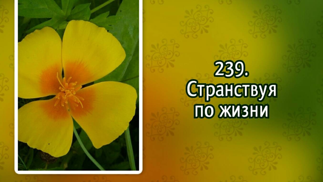 Гимны надежды 239 Странствуя по жизни (-)