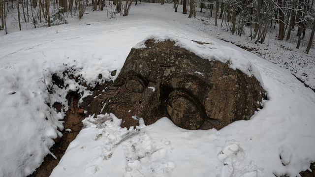 Санкт Петербург Парк Сергиевка