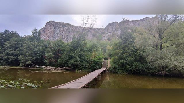 Артур Закиров  "Август - бродяга, холодные ночи ..." читает Любовь Б.
