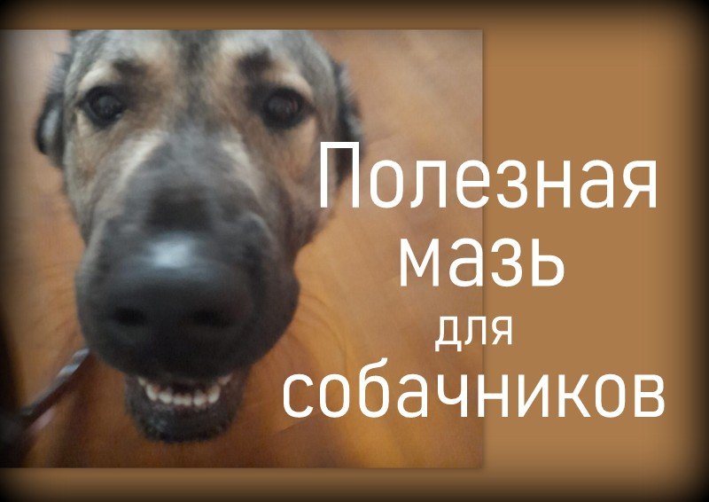 Полезная Мазь для собачников