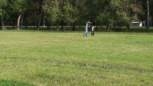 Freestyle division II   Татьяна и Пуля.mp4