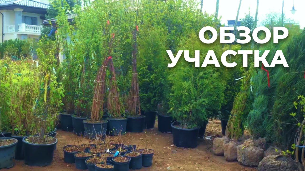 Ландшафтный дизайн. Обзор объекта в поселке Гринфилд #ландшафтныйдизайн