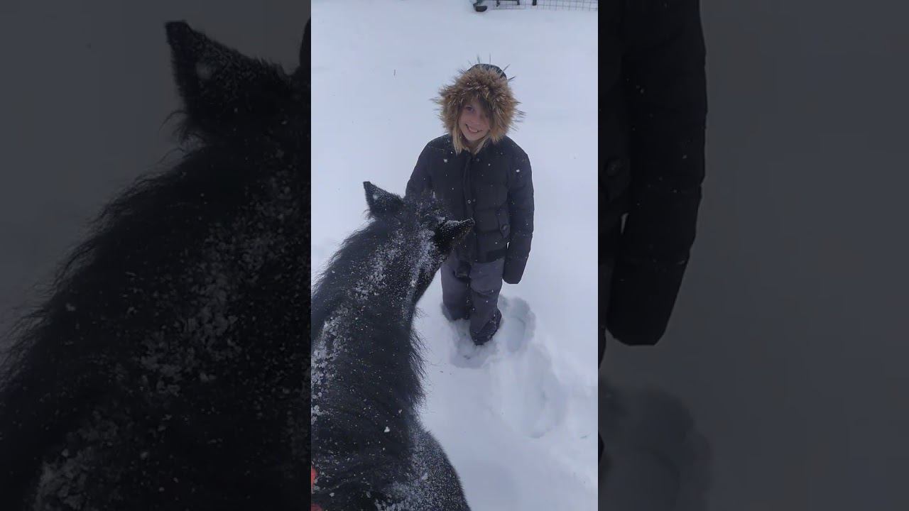 Я впервые села на #лошадь