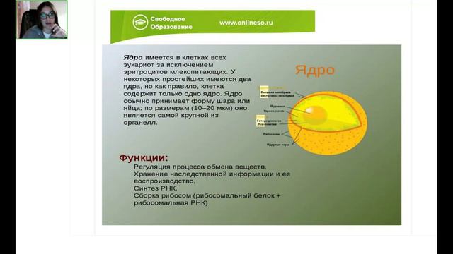 Биология 10 класс 19.01.2024
