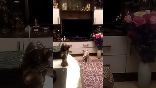 О ЯКОБЫ МАГИЧЕСКИХ КУКЛАХ. ВЕДЬМИНА ИЗБА ▶️ ИНГА ХОСРОЕВА.