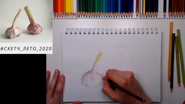 5. Рисуем вместе композицию с ЧЕСНОКОМ. Скетч-лето-2020