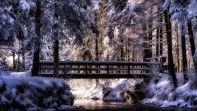 СОЛНЕЧНЫЙ_морозный ДЕНЬ / ЗИМНИЙ пейзаж / Красивая МУЗЫКА / Для ХОРОШЕГО настроения_УЧЁБЫ_отдыха...