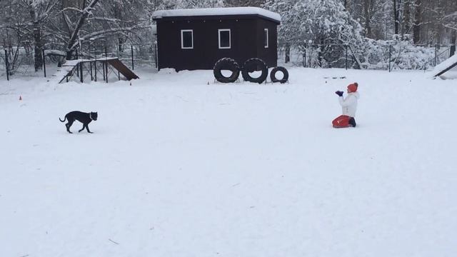 Вебстайл 2018  Ирина и Декстер.mp4