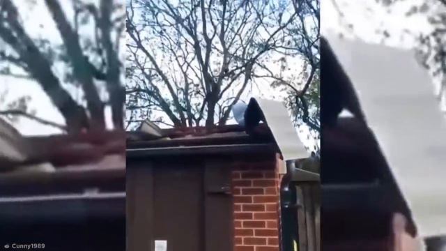 Ужасные Люди, Которых Наказала Карма. Часть 4