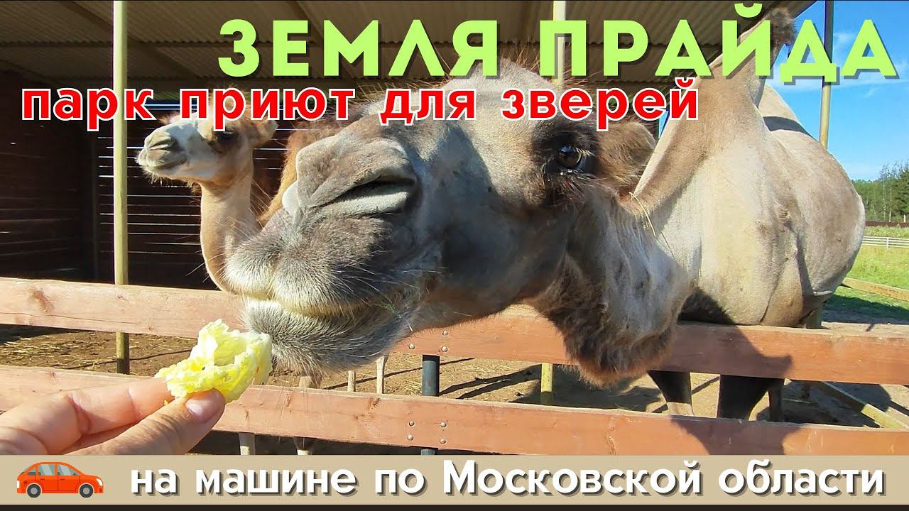 ПАРК ЛЬВОВ "ЗЕМЛЯ ПРАЙДА" 2024 - Колдовские путешествия