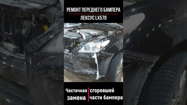 лексус #shor