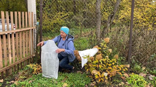 Не укрывайте свои растения на зиму пока не посмотрите это видео!!!