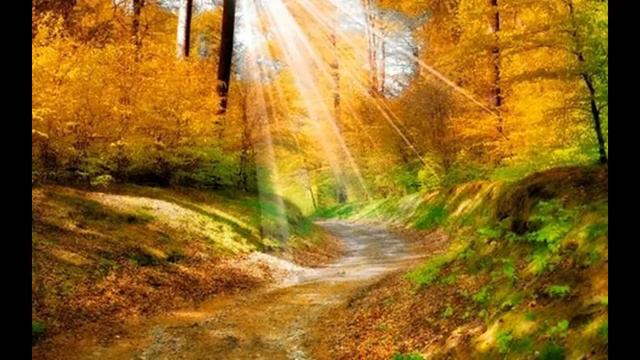 Дмитрий Рогачев  Осенние чудеса