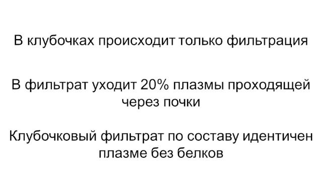 Почечный клубочек и капсула Боумена (почки 2)