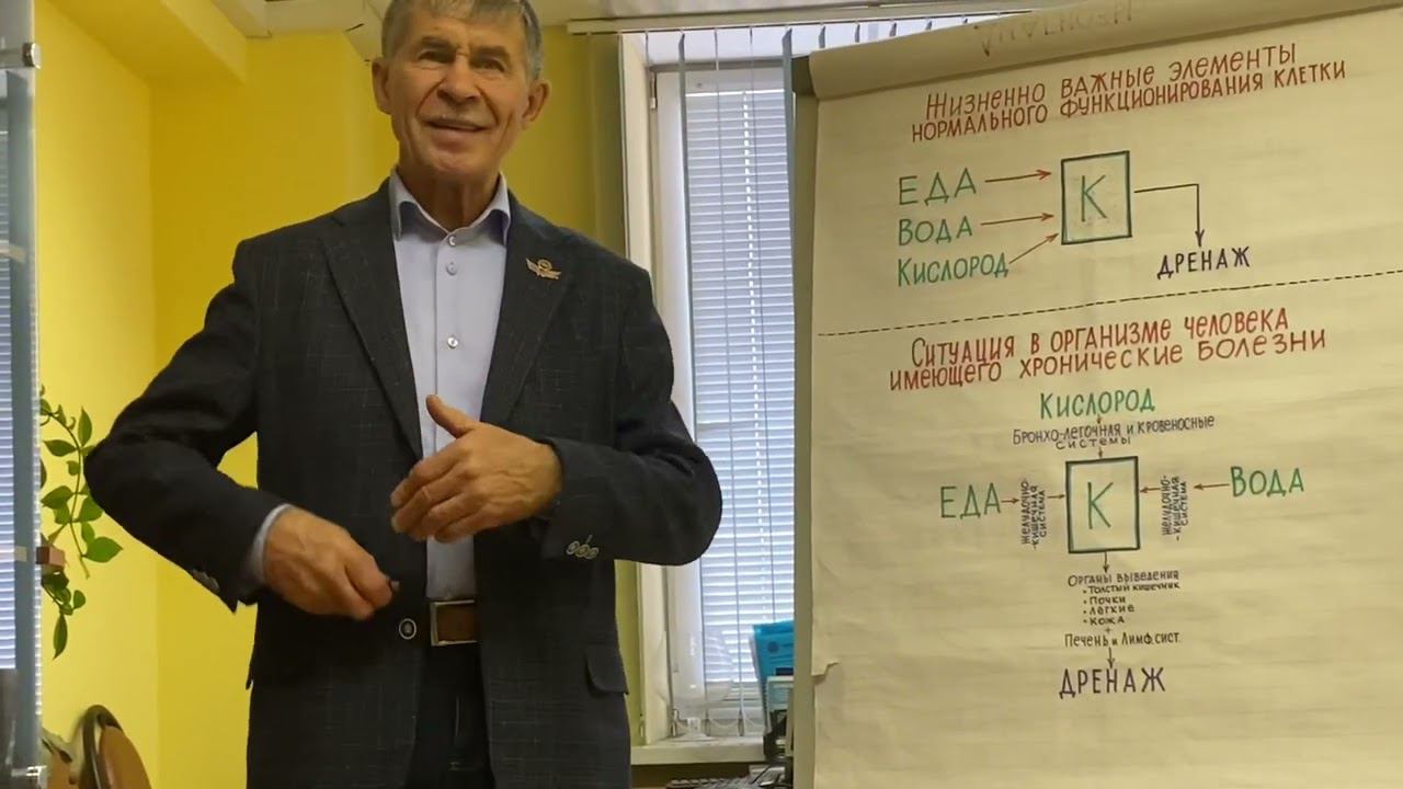 От чего зависит здоровье организма - здоровье в наших руках