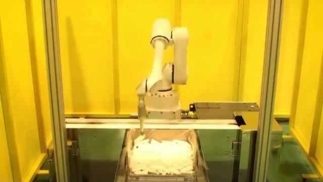Укладка в контейнеры и паллетирование роботом FANUC  с 3D сенсором поверхности.mp4