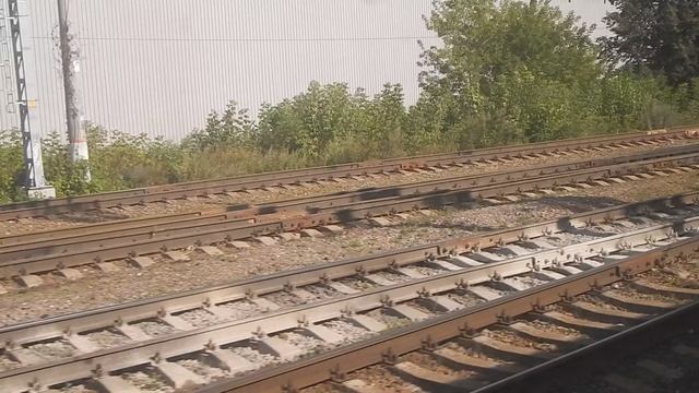 Домодедово. 13 08 21. DSCN5538