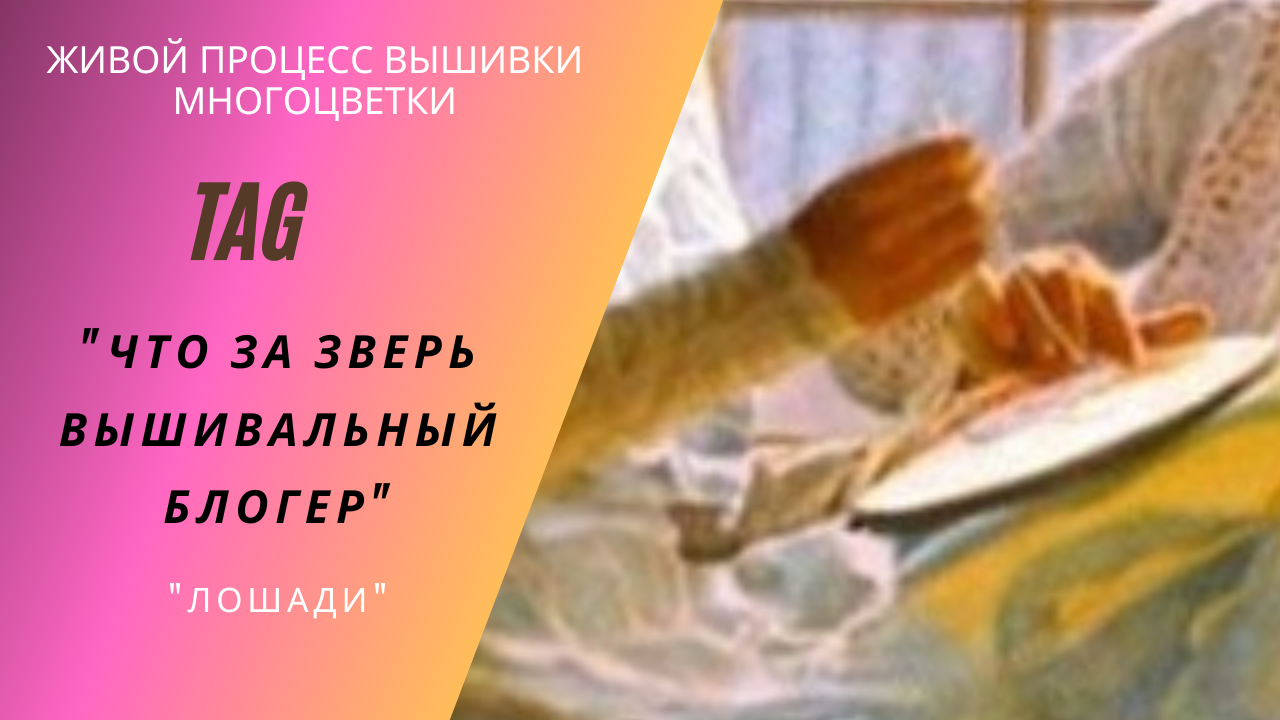 TAG "Что за зверь вышивальный блогер?"